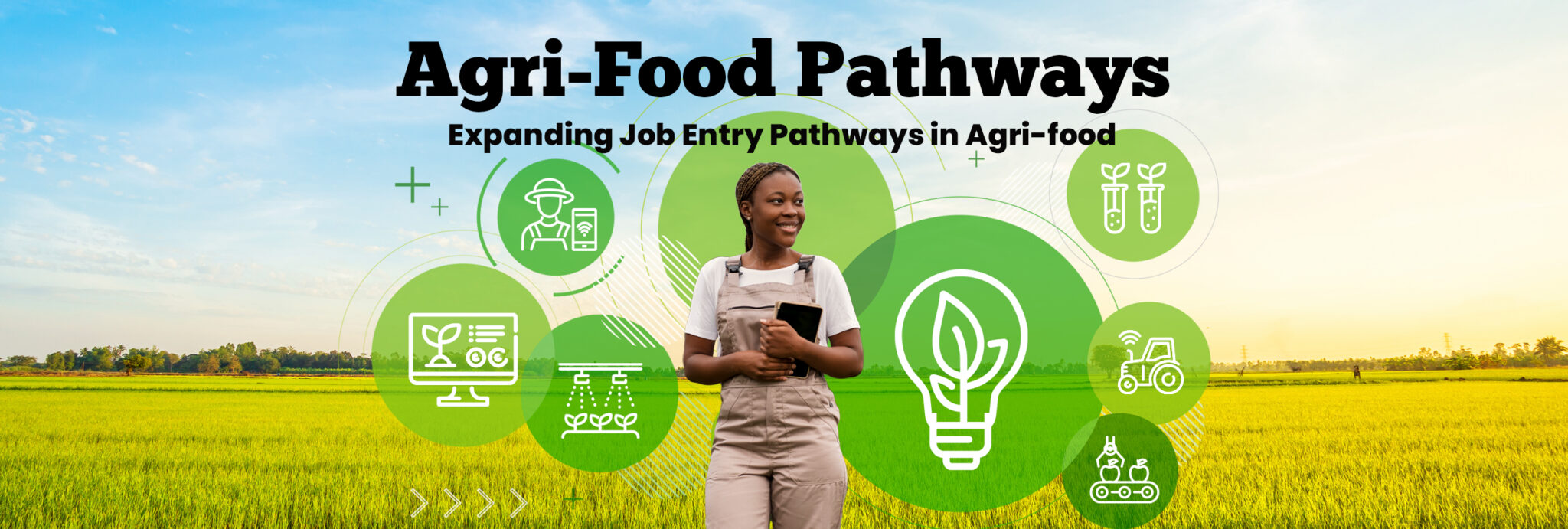 Agri-Food Pathways - First Work